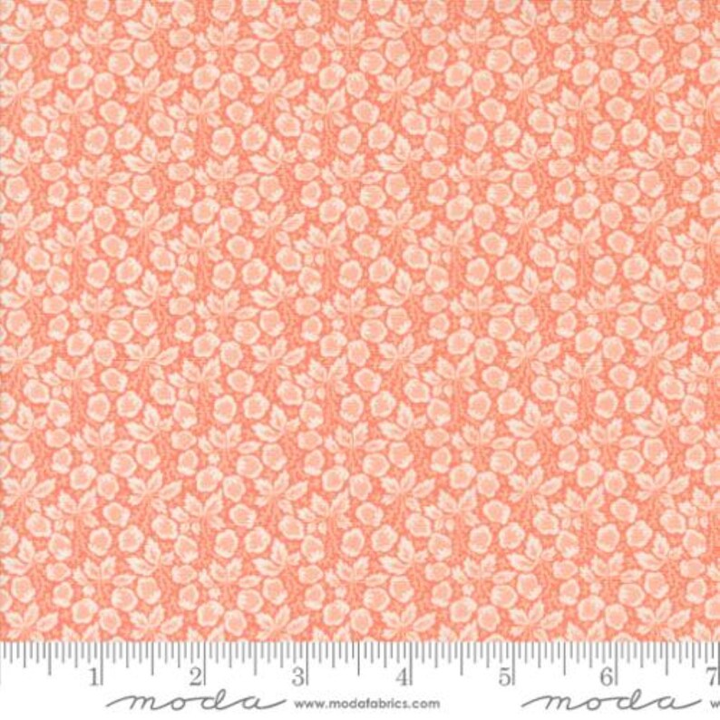 Jelly and Jam Apple Green Floral 20497-16 by Fig Tree for Moda Fabrics ...