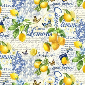 Limoncello Half Inch Blue and White Gingham Check CD 3450-blue From ...