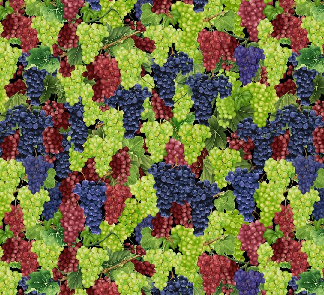 Wine Tasting Packed Grapes 1933-multi by Timeless Treasures - Etsy