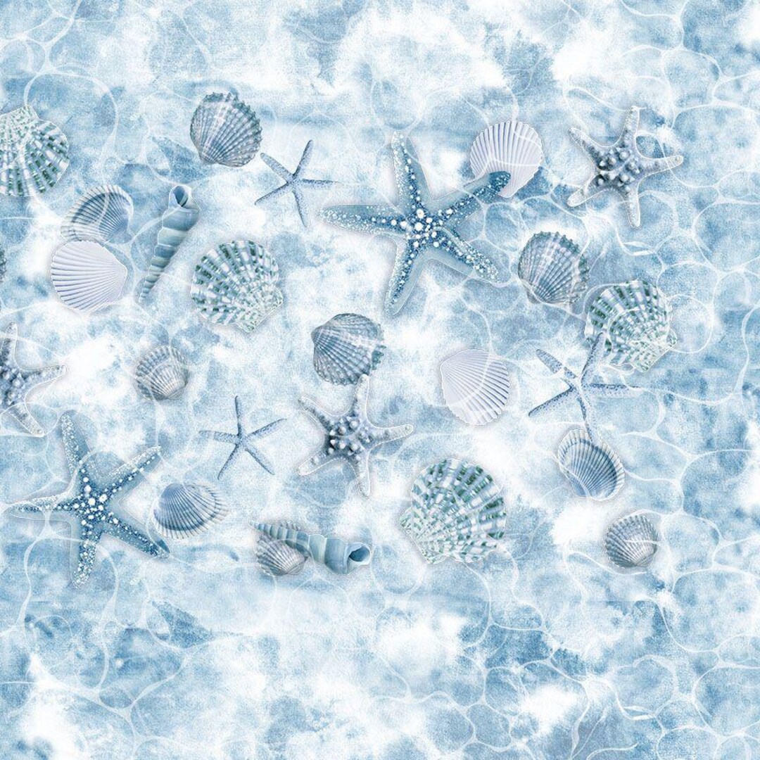 Let Your Light Shine Seashells on Blue Cd3971-blue From Timeless ...