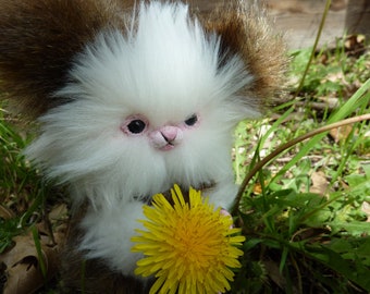 Lykoi Kitten 3 Different Styles | Etsy