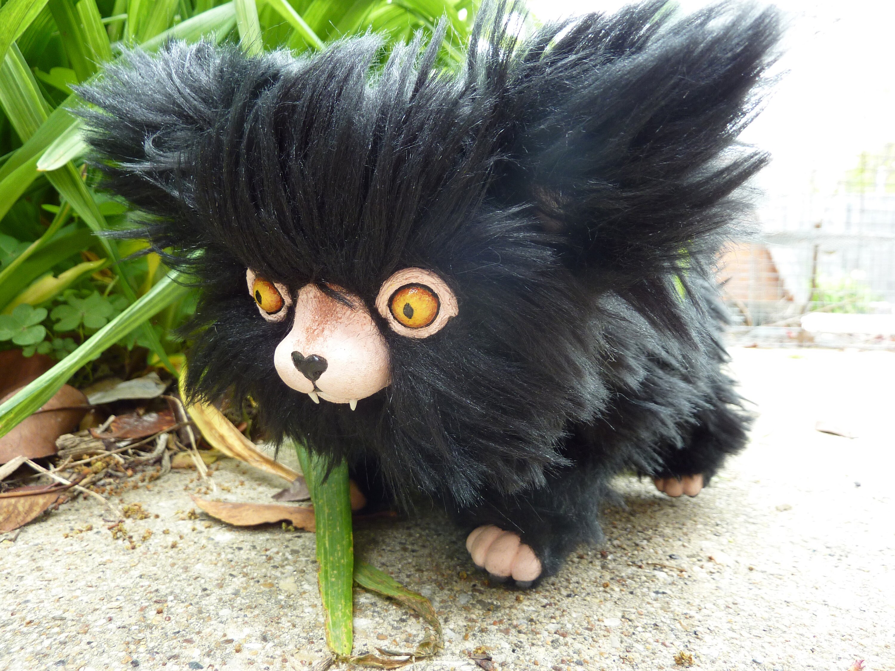 Lykoi Cat - Etsy