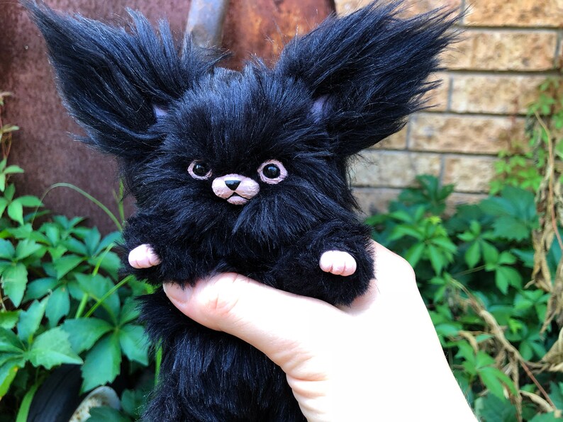 Lykoi Kitten 3 Different Styles - Etsy