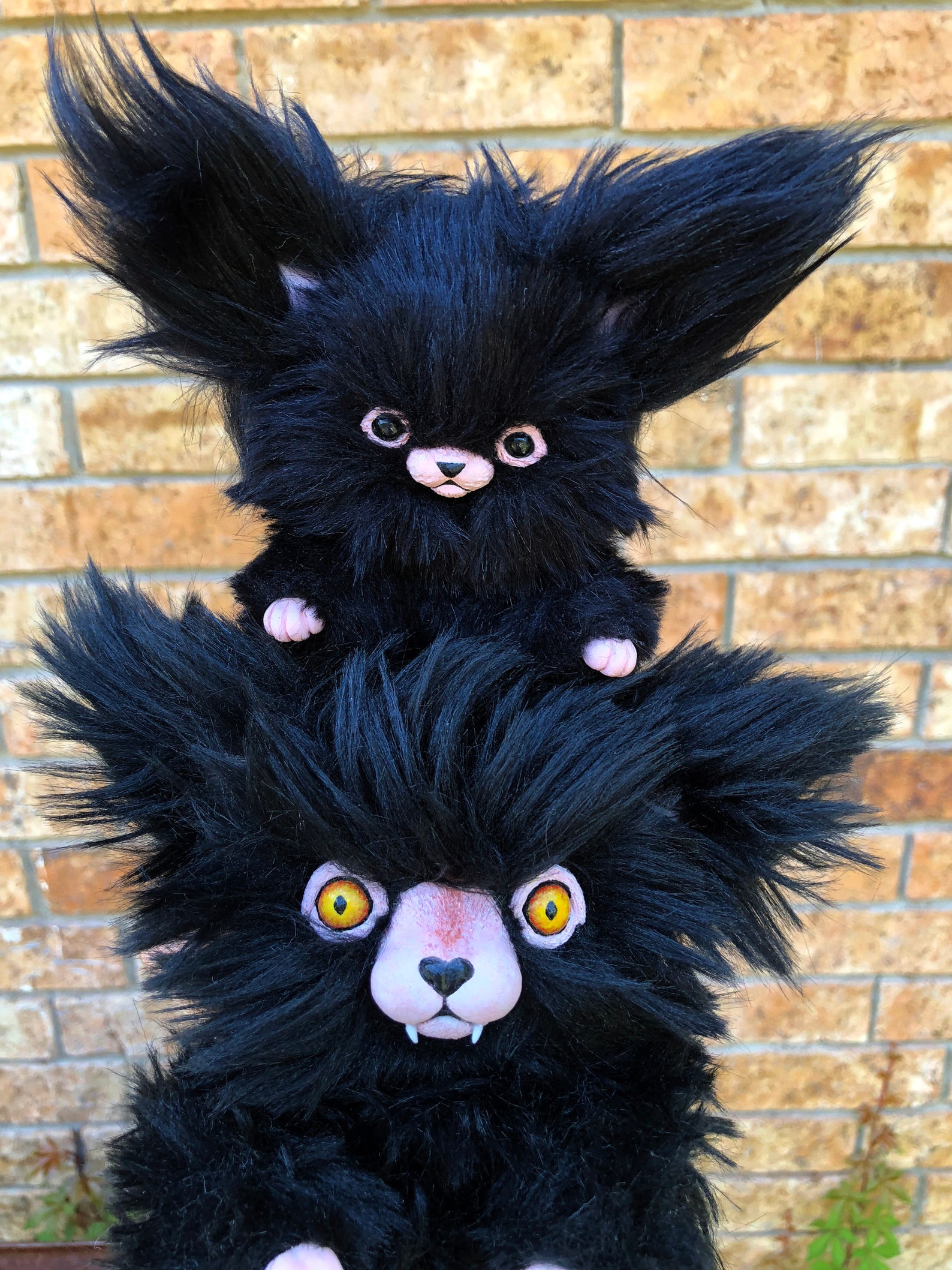 Lykoi Kitten 3 Different Styles - Etsy