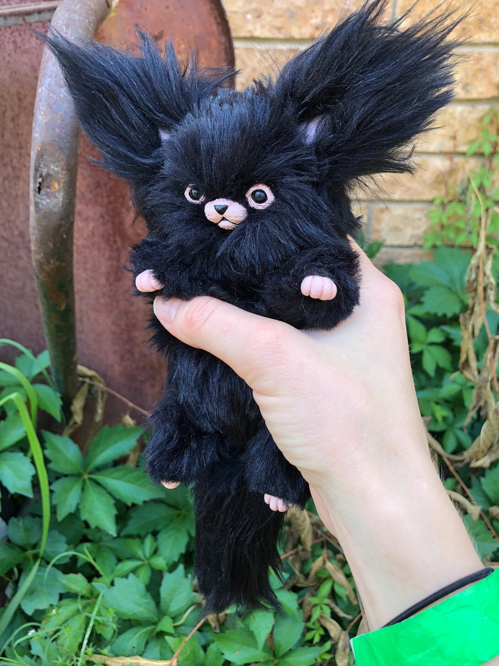 Lykoi Kitten 3 Different Styles - Etsy