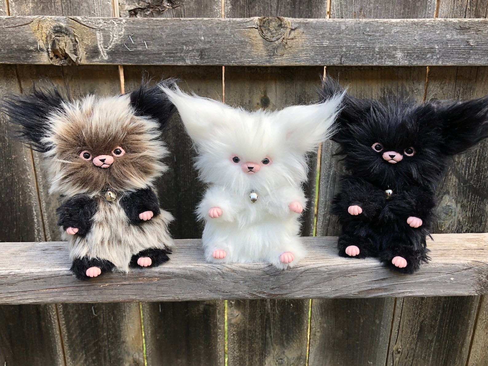 Lykoi Kitten 3 Different Styles - Etsy