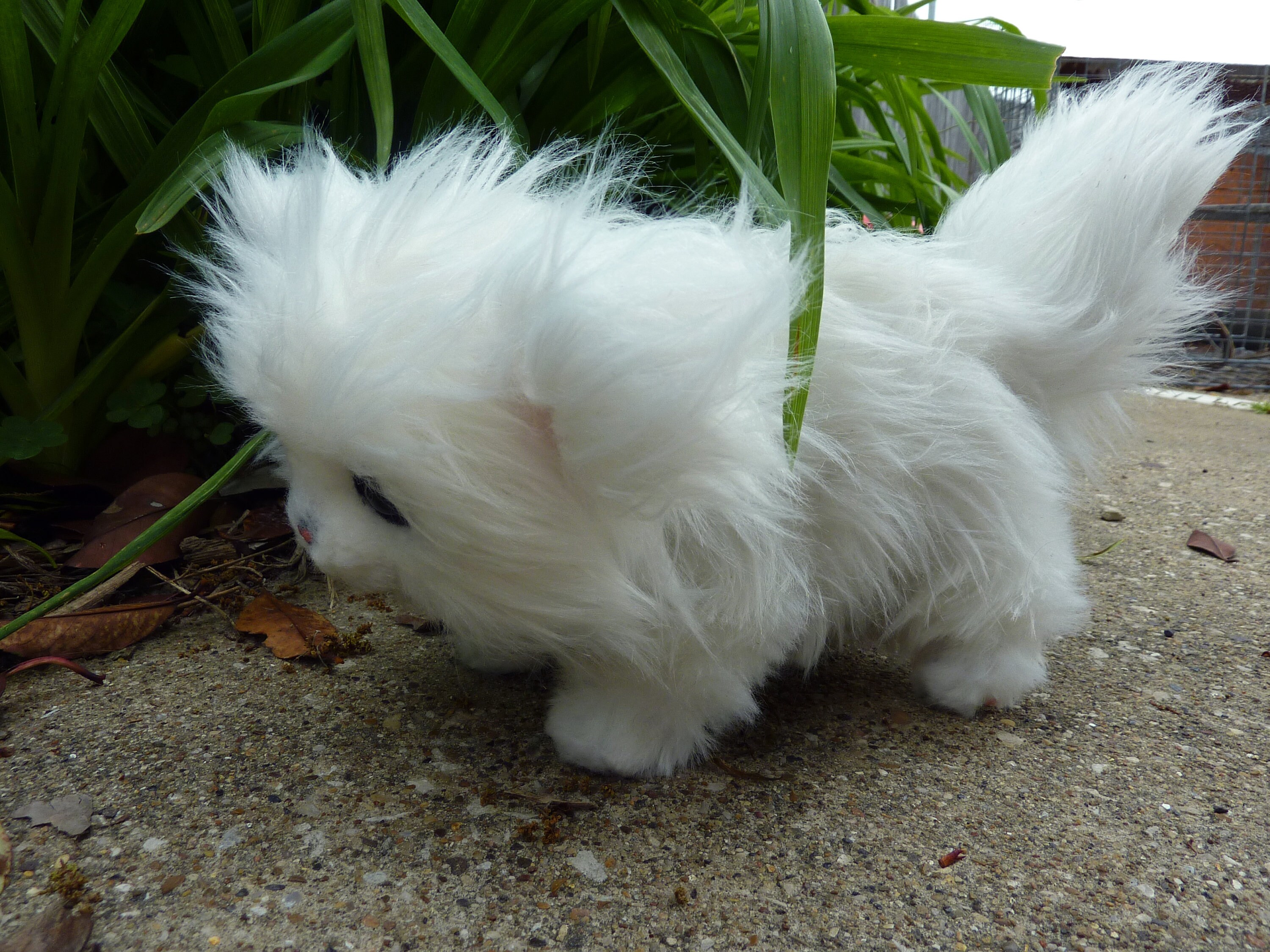 White Munchkin Cat doll | Etsy