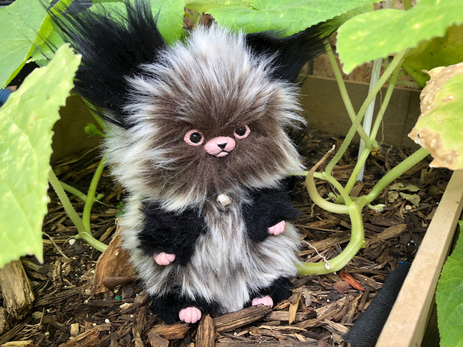 Lykoi Kitten 3 Different Styles - Etsy