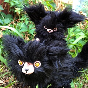 Lykoi Kitten (3 Different Styles) - Etsy