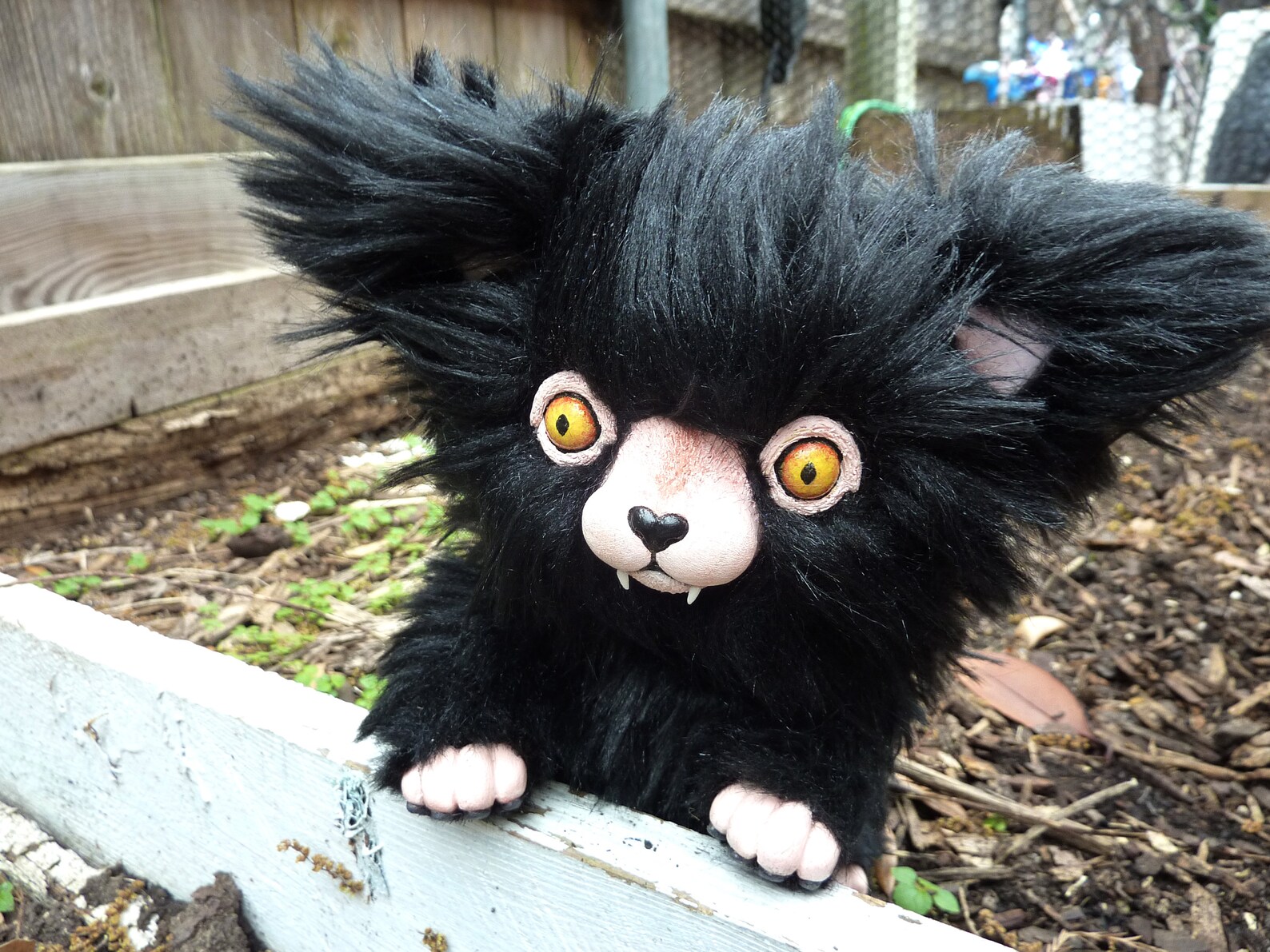 Lykoi Cat - Etsy