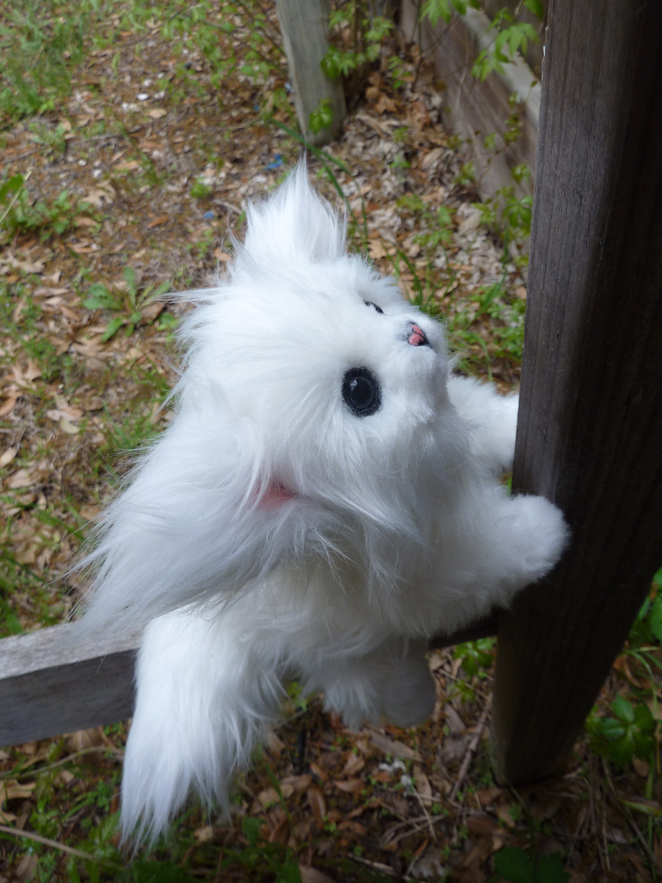 White Munchkin Cat doll - Etsy