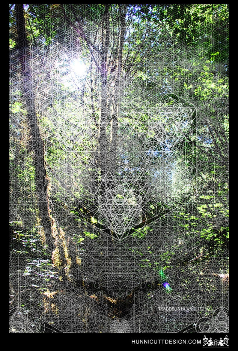 Sacred geometry art combined with nature photo 1 | Etsy