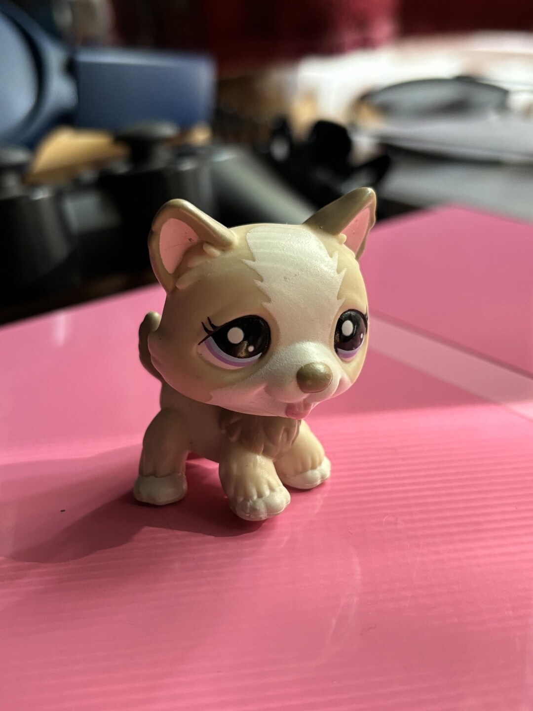 Littlest Pet Shop LPS Husky Dog #1817 - Etsy