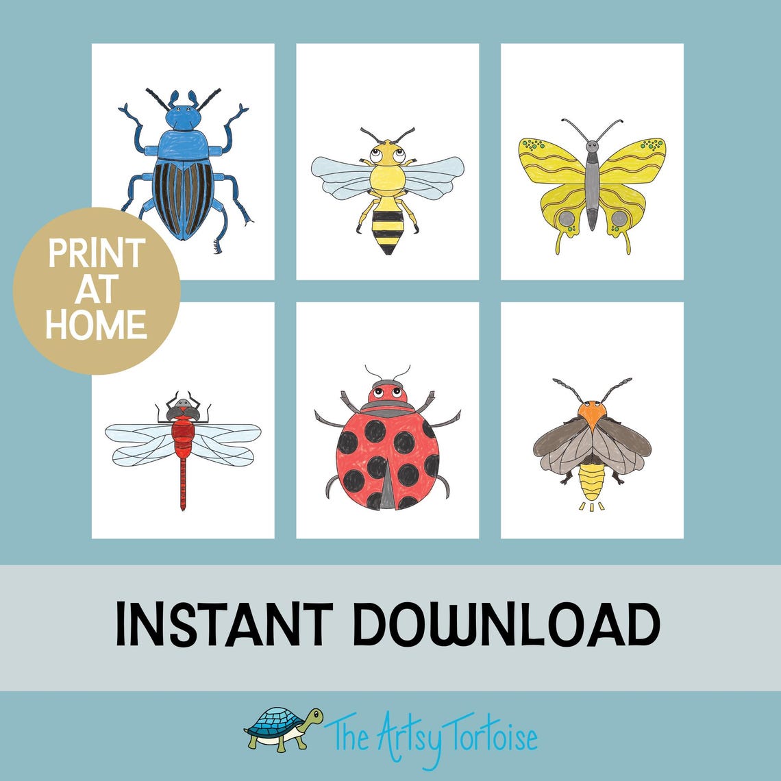 6 Insect Coloring Pages, Bugs Coloring Sheet Set, Sizes 8.5x11 & A4 ...