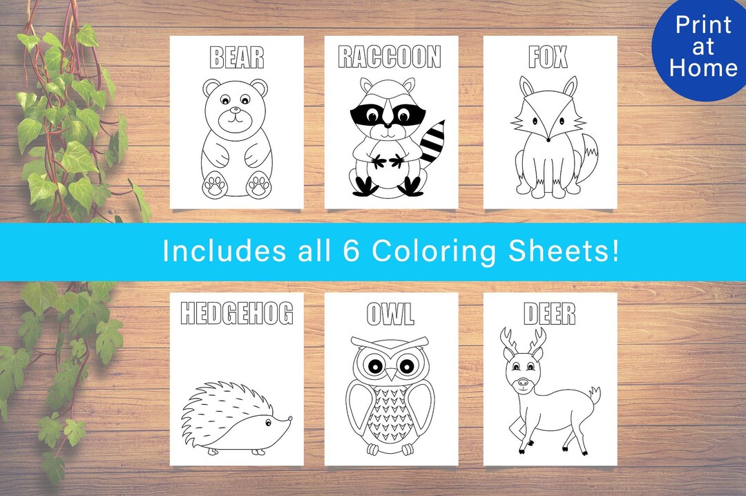 6 Woodland Animals Themed Coloring Pages, Woodland Creatures, Printable ...