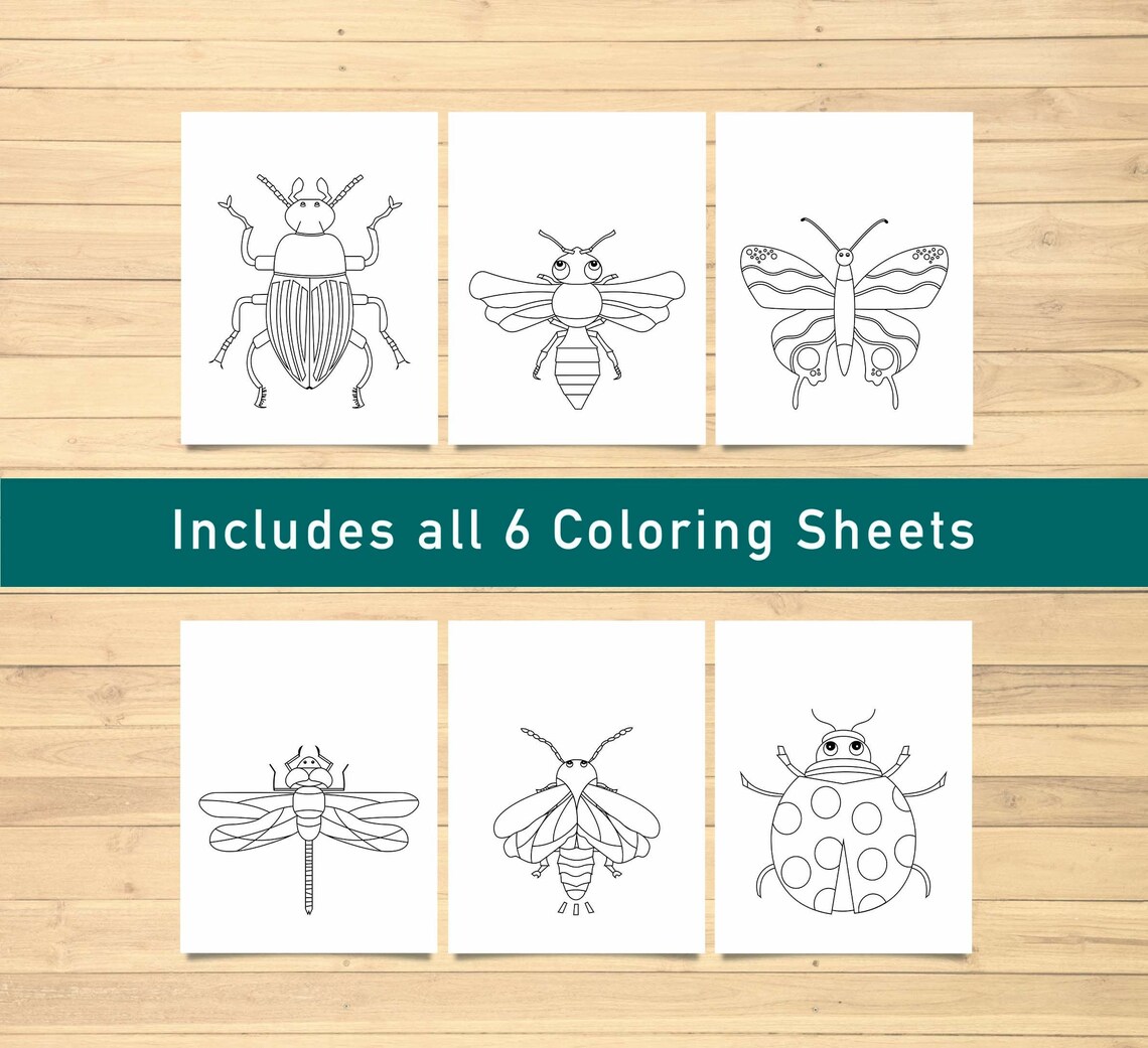 6 Insect Coloring Pages Bugs Coloring Sheet Set Sizes 8.5x11 - Etsy