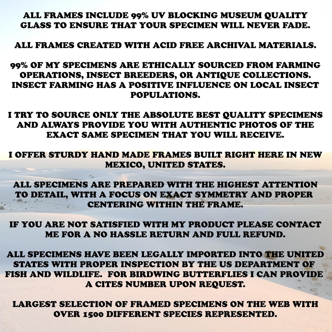 Real Pink African Glasswing Butterfly Framed Specimen - Acraea ...