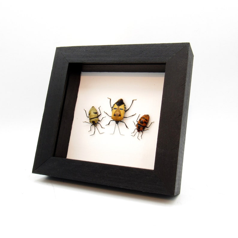 Real Bugs With Human Faces Dancing : - Etsy