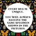 Real Rare Kaiser-i-hind Swallowtail Butterfly Framed Taxidermy ...