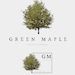 Green Maple Logo Template, Tree Logo Design, Photography Logo Design ...