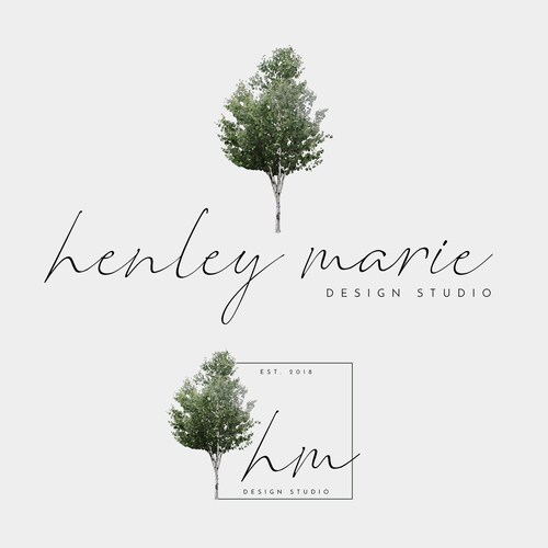 BIRCH Tree Logo Template Rustic Logo Design Photography | Etsy
