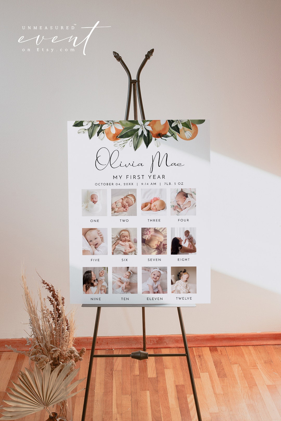 CALLIOPE Photo Baby Milestone Sign Little Cutie First Birthday Photo ...