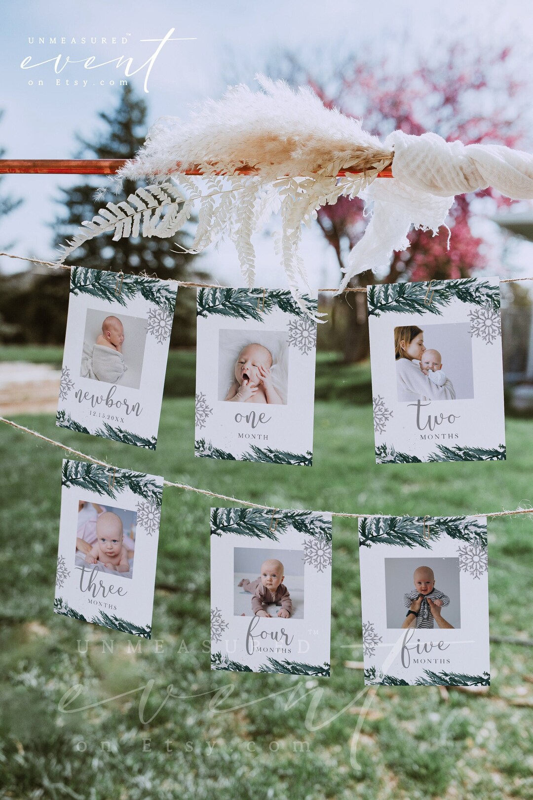 RORY Winter Onderland Monthly Milestone Photo Cards Pine and Snowflake ...