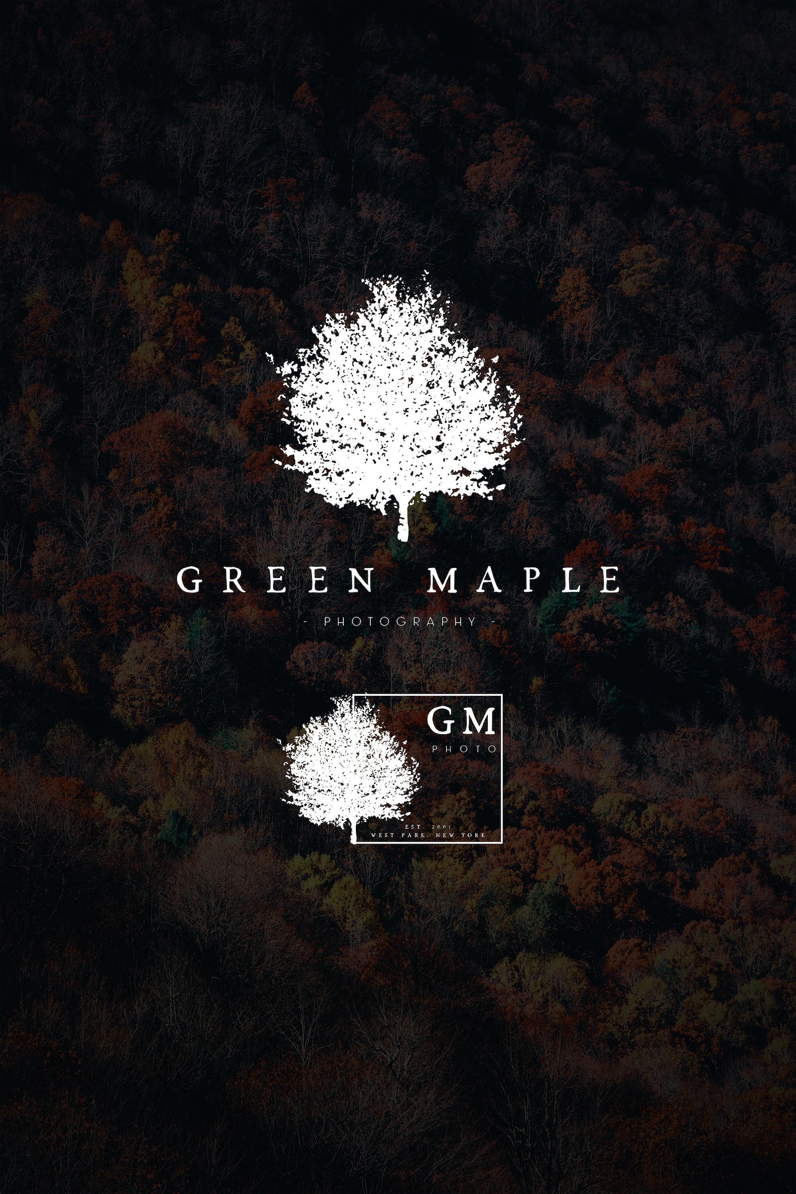 Green Maple Logo Template Tree Logo Design Photography Logo | Etsy