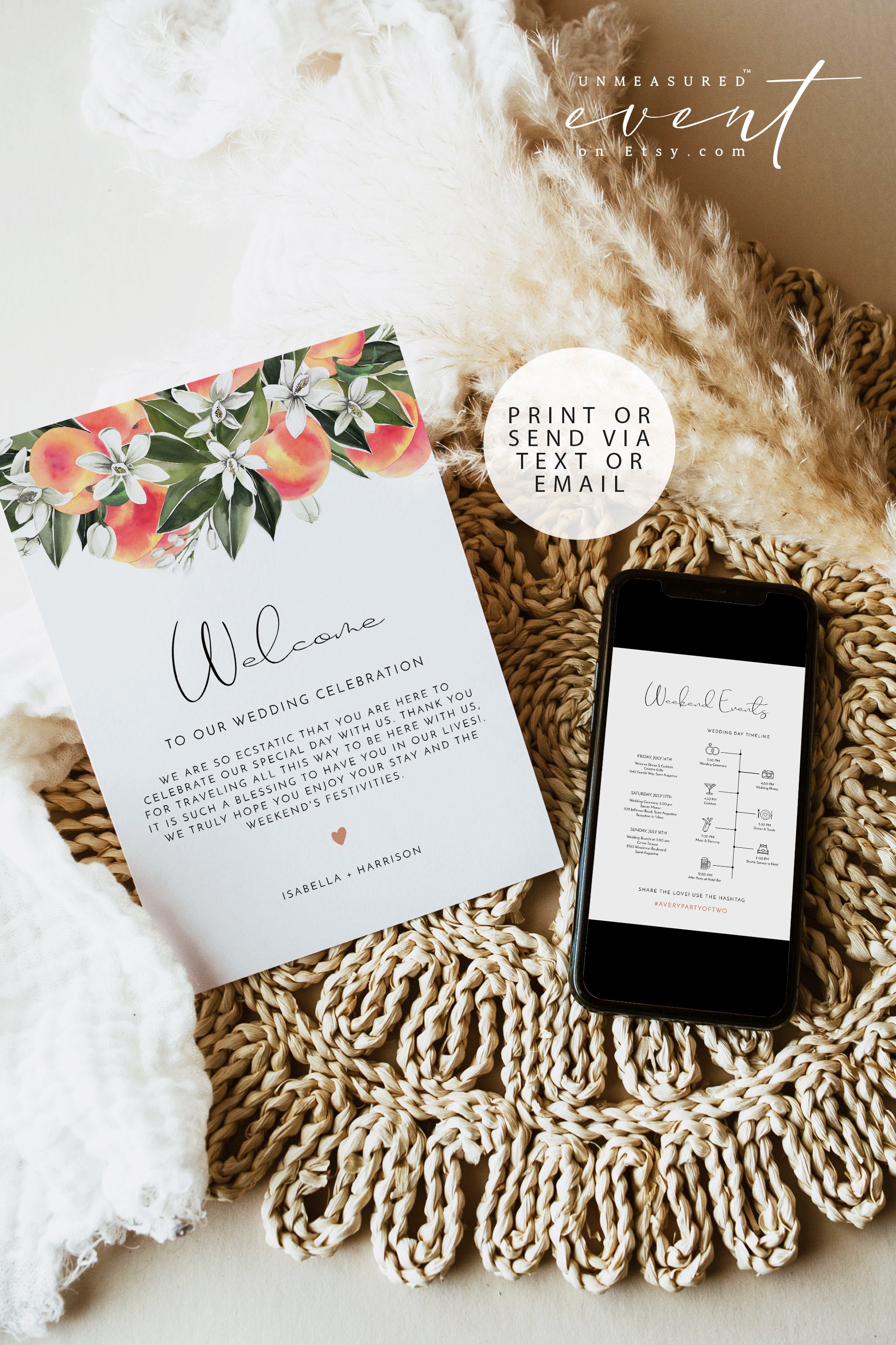 SAVANNAH Peach Wedding Timeline Template Wedding Timeline - Etsy
