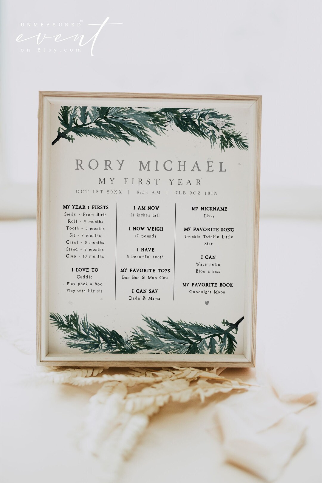 RORY Rustic Winter Pine Baby Milestone Sign Winter Onderland First ...
