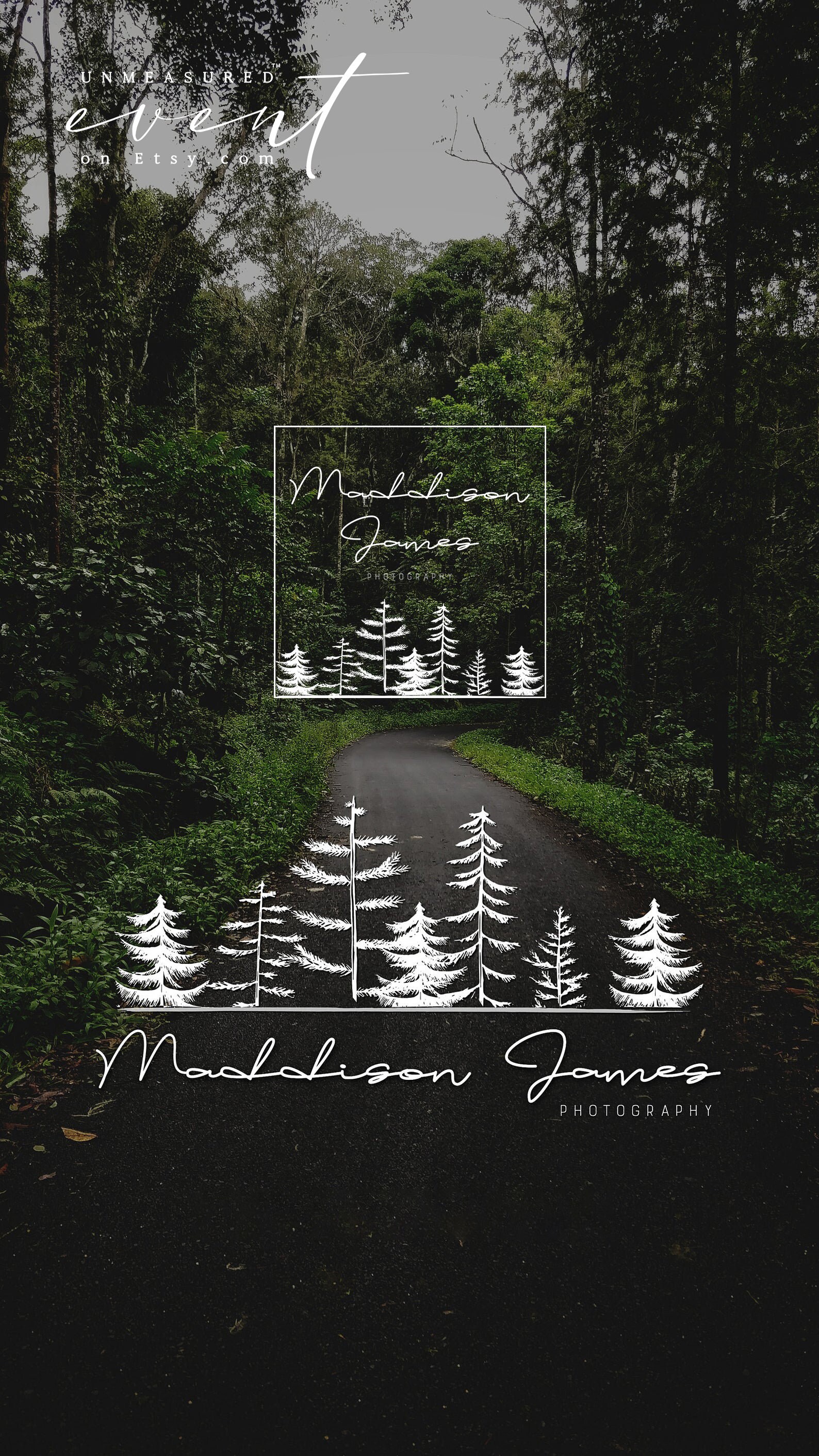 TIMBER Watercolor Pine Tree Logo Template, Tree Logo Design, Tree Logo ...