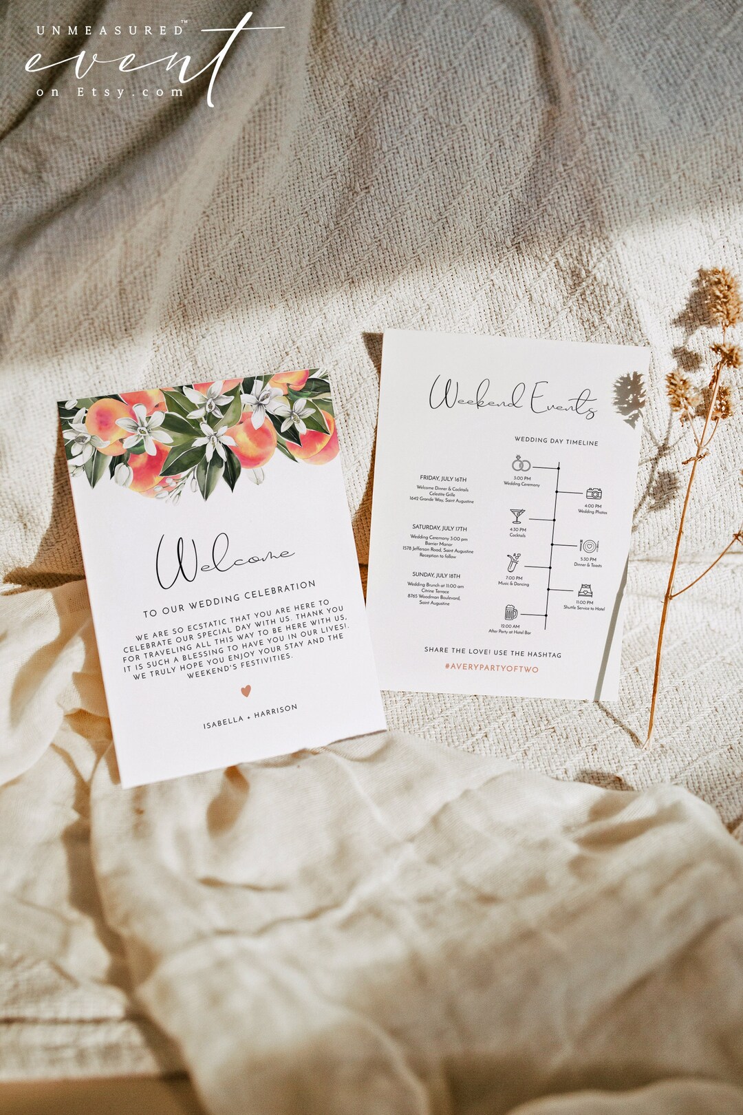 SAVANNAH Peach Wedding Timeline Template, Wedding Timeline, Event ...