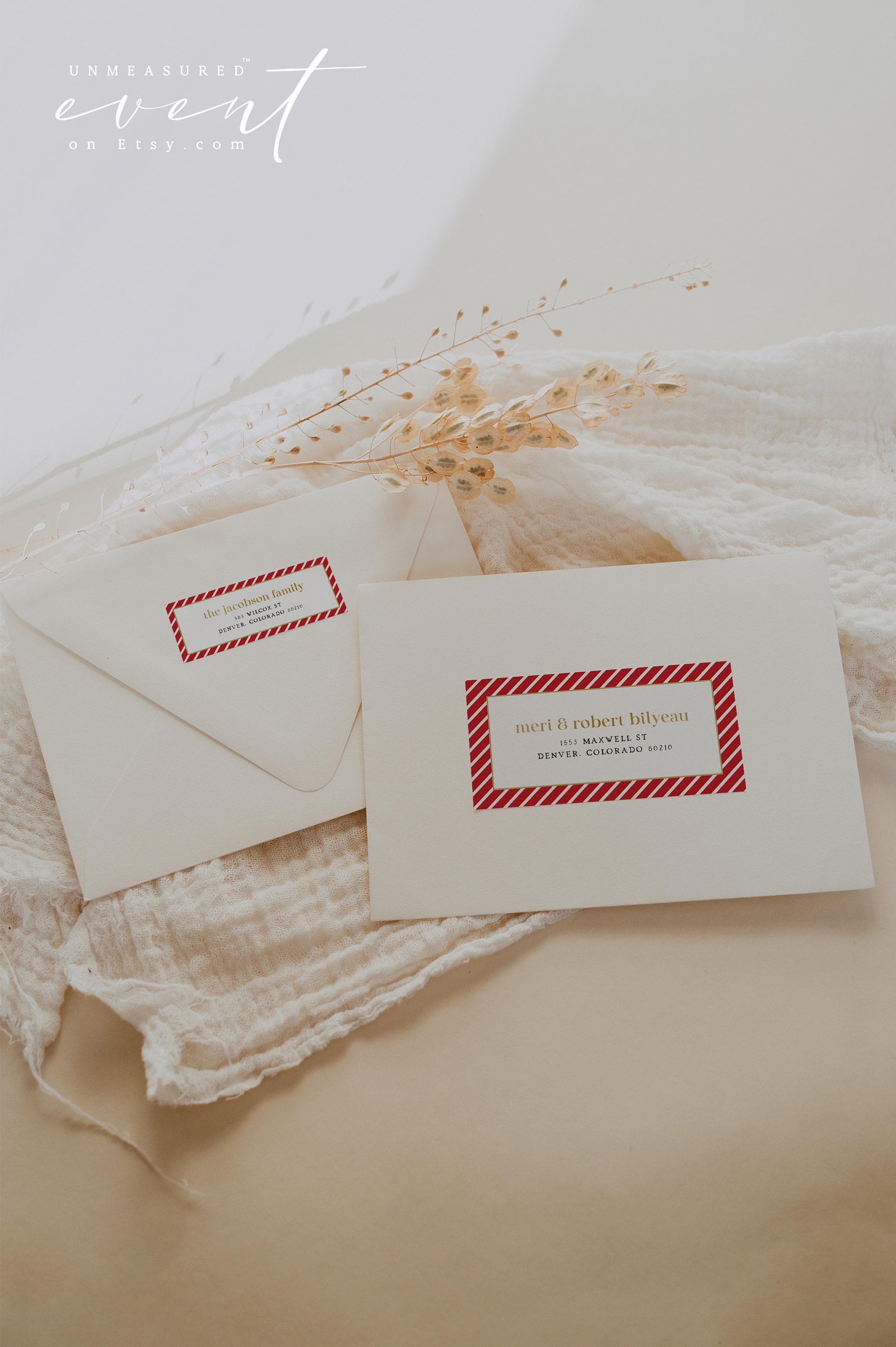 MERI Printable Christmas Address Label Template Christmas - Etsy