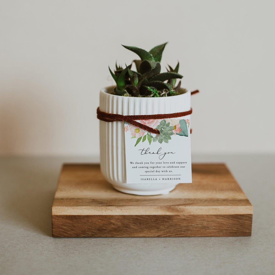 Succulent Favor Tag Printable Template, Succulent Thank You Tags, Blush ...