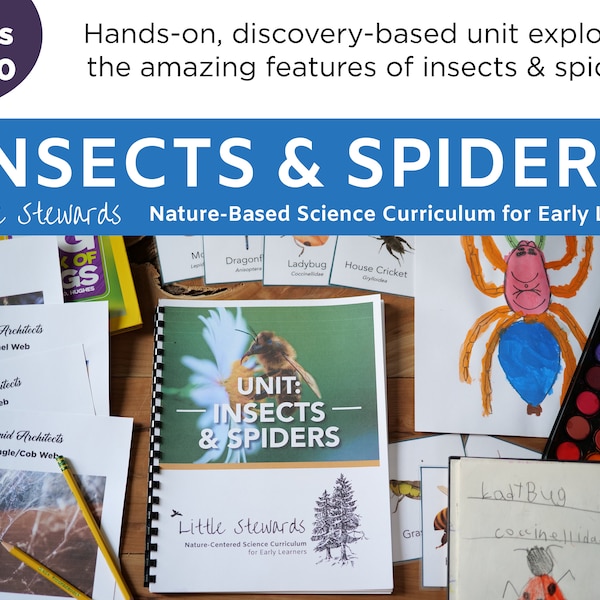 Bugs Unit Study - Etsy