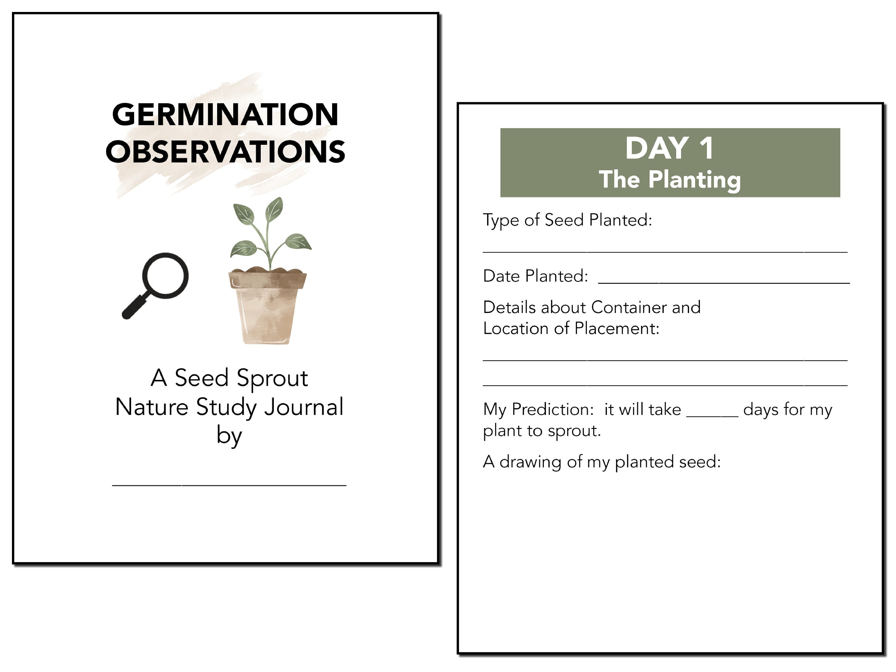 Germination Observation Log - Elementary Science Supplement - Etsy