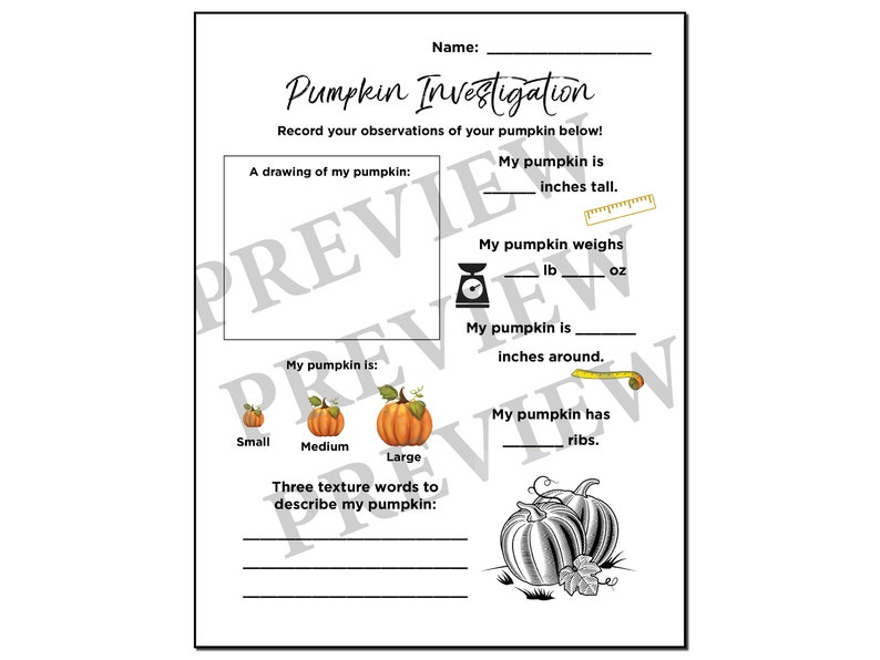 Pumpkin Investigation Worksheet - Etsy