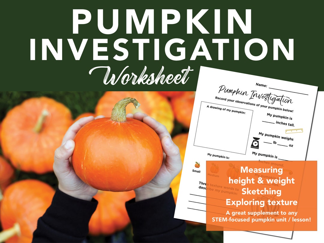Pumpkin Investigation Worksheet - Etsy