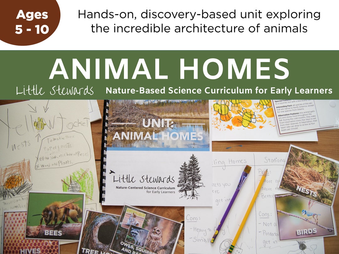 Animal Homes - Elementary Science Unit - Etsy