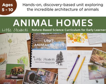 All About GORILLAS Animal SCIENCE Unit PDF | Printable Learning Pack ...