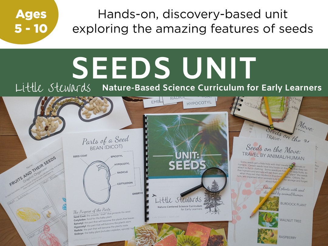 Seeds Unit - Elementary Science - Exploring the Amazing Features of ...