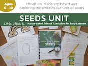 Life Cycle of a Bean Plant Foldable Kids' Craft Science Activity A4 and ...