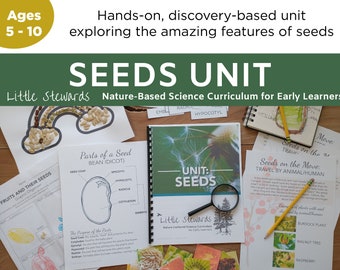 Parts of a Coniferous Tree Conifer Unit Study Montessori - Etsy