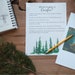 Conifers Unit - Elementary Science - Exploring the Amazing Features of ...