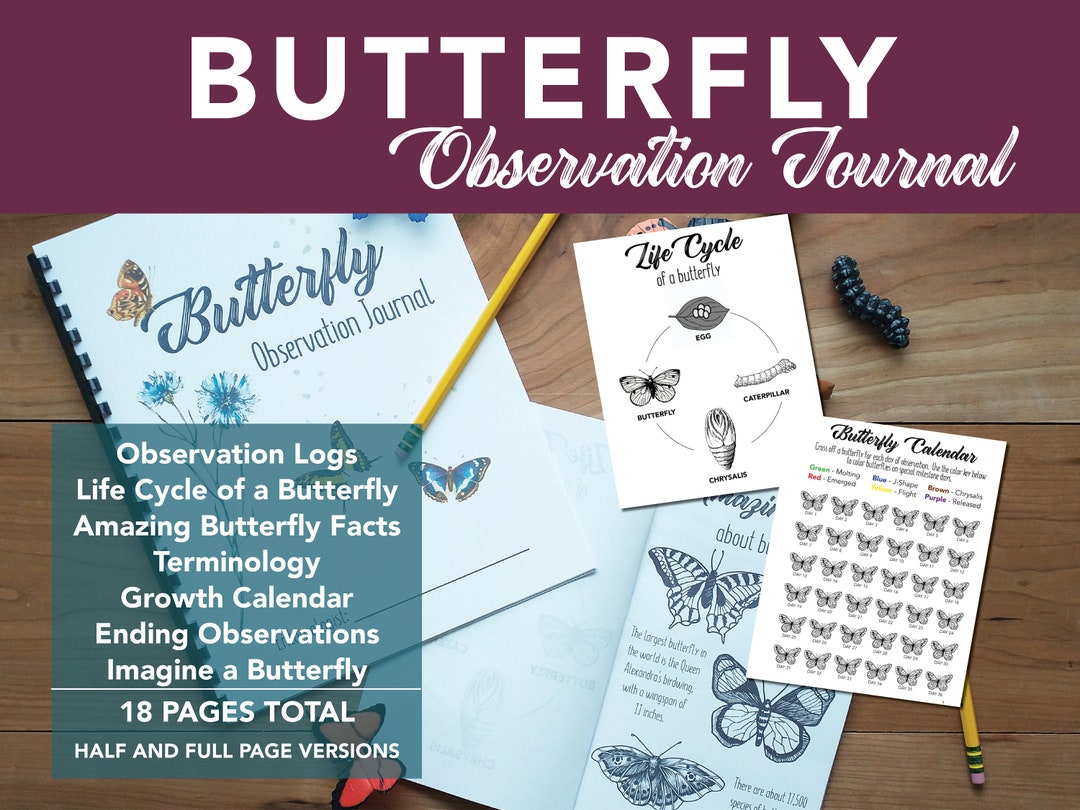 Butterfly Observation Journal - Elementary Science - Etsy