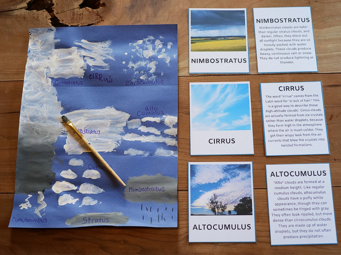 Weather - Elementary Science Unit - Etsy