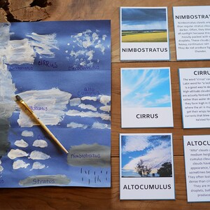 Weather - Elementary Science Unit - Etsy