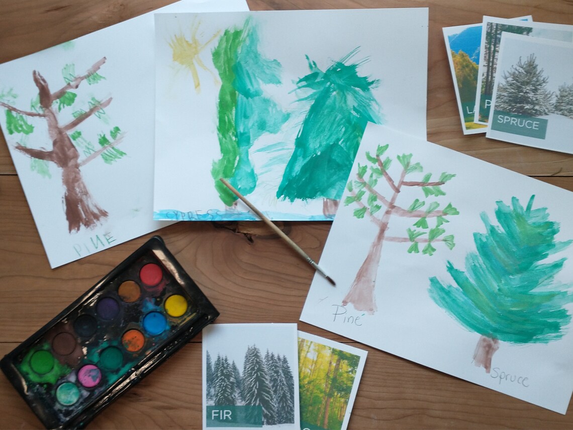 Conifers Unit - Elementary Science - Exploring the Amazing Features of ...
