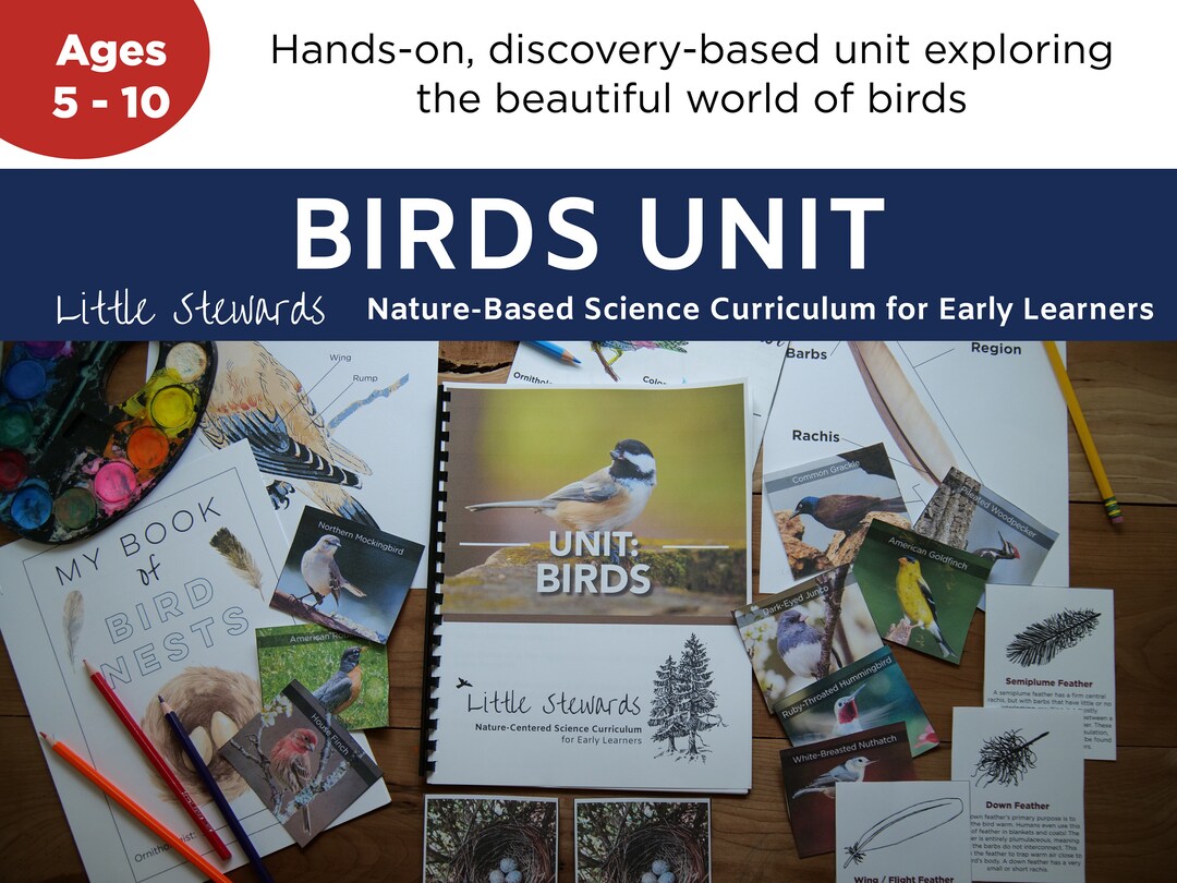 Birds - Elementary Science Unit - Etsy