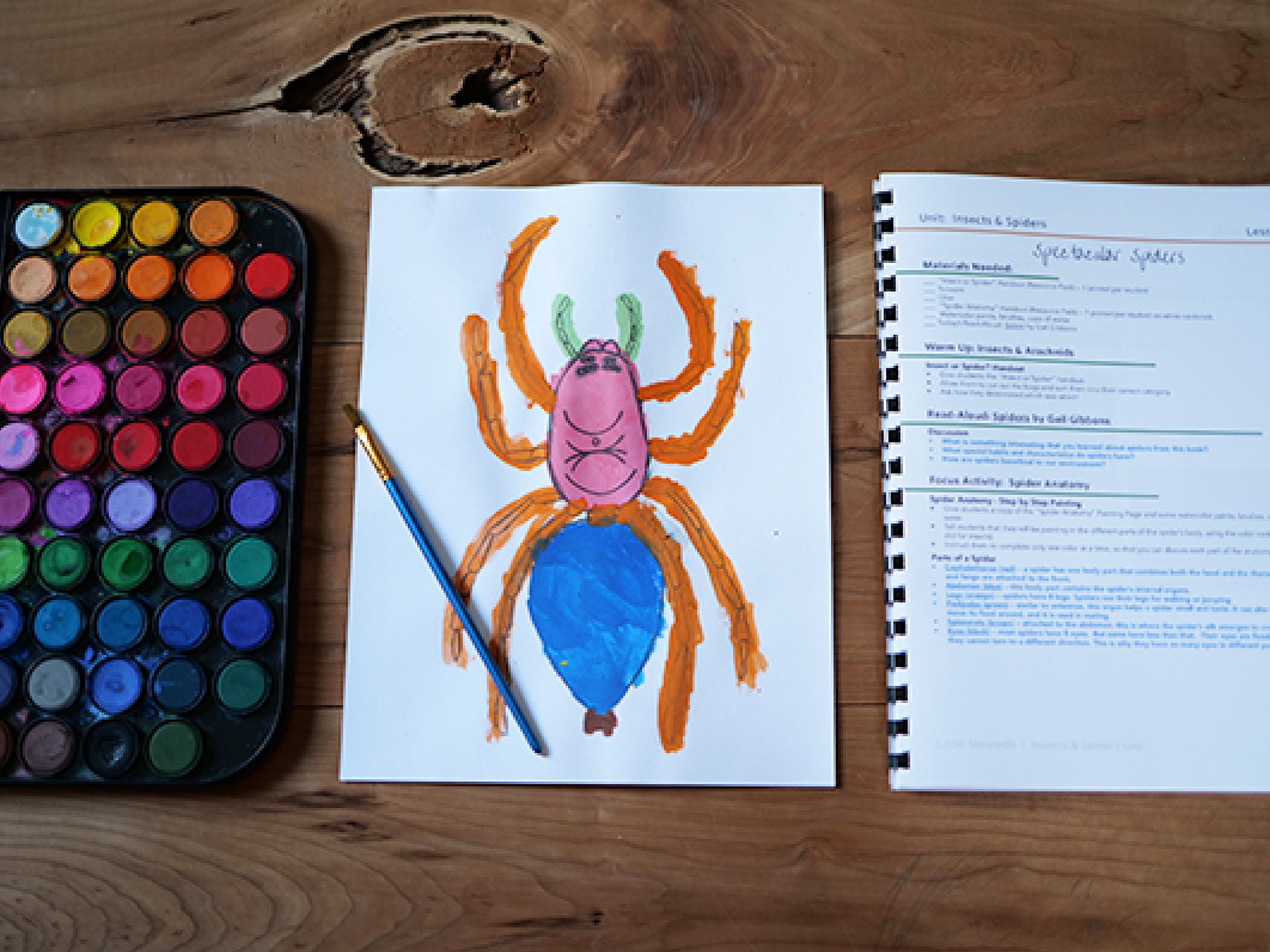 Insects & Spiders - Elementary Science Unit - Exploring the Amazing ...